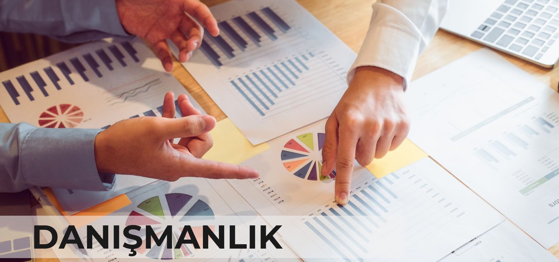 Danışmanlık – Yarım Elma